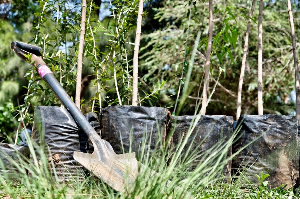 10 Days of Goodmass: Replanting the trees after the Knysna Fires