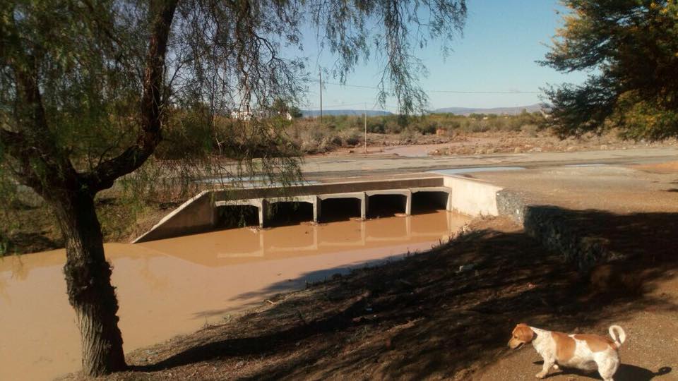 Must Watch: A video of a river overflowing in the drought-stricken ...