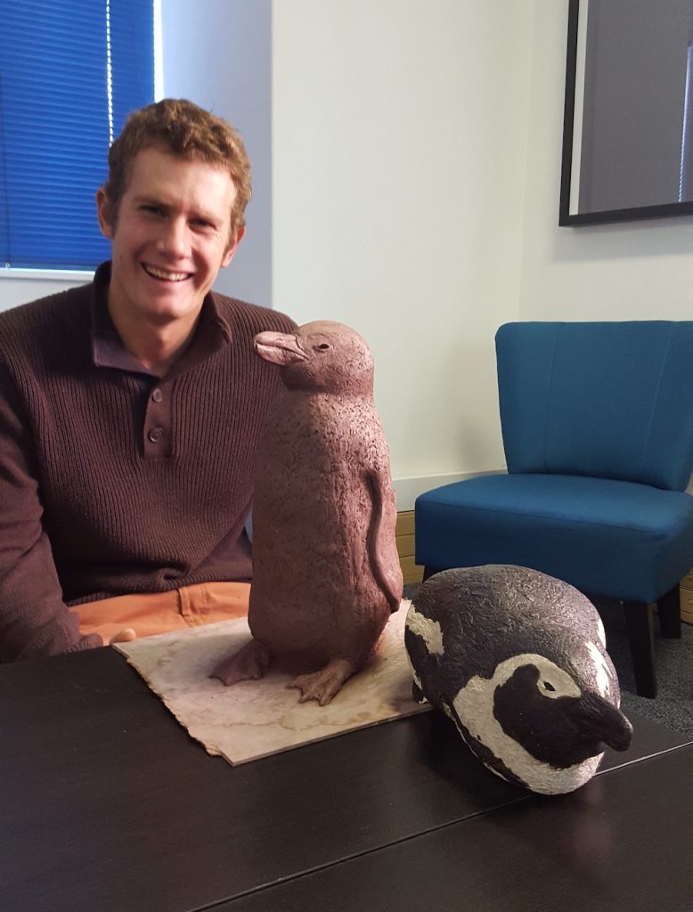 Fake penguins placed on quiet beaches to create new colonies