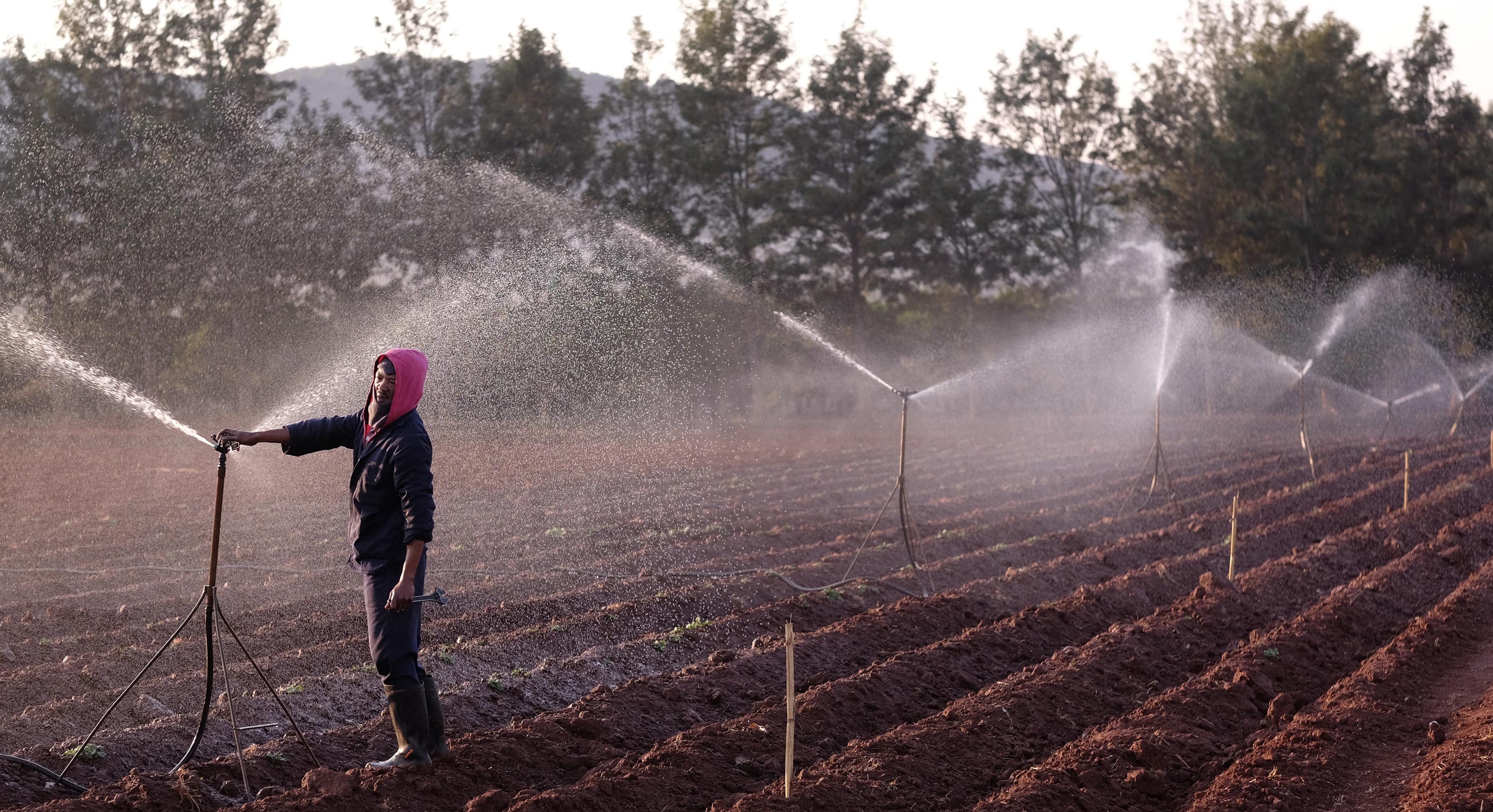 Eastern Cape farmers receive economic boost to alliviate drought crisis