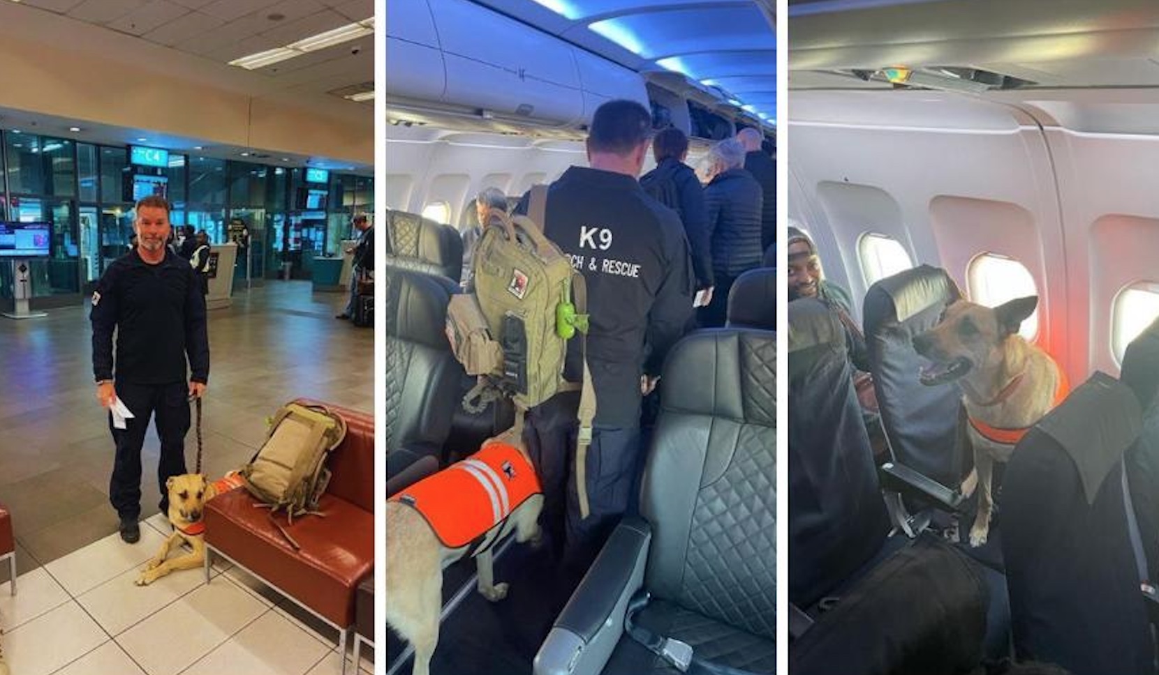 The K9 Association Will Now Soar to the Rescue In a First for South Africa