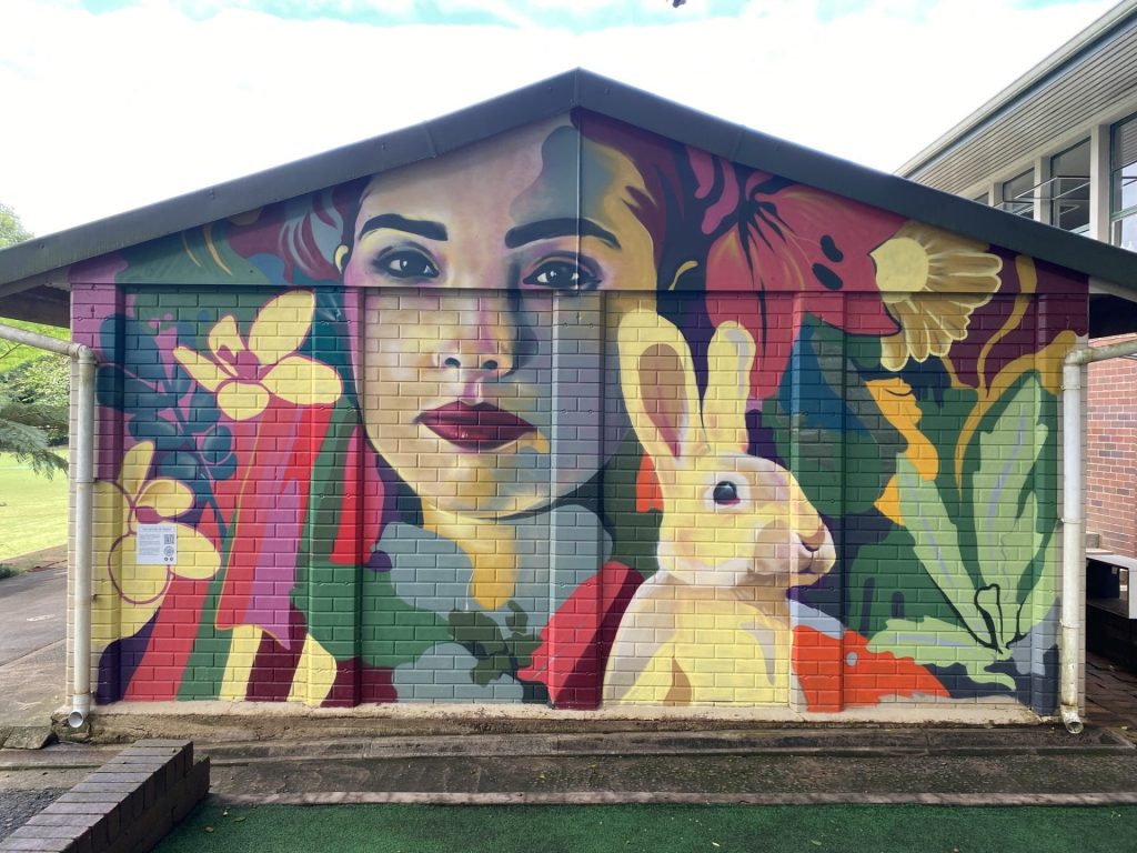 PMB Primary School Gets Stunning Audio-Visual Mural!