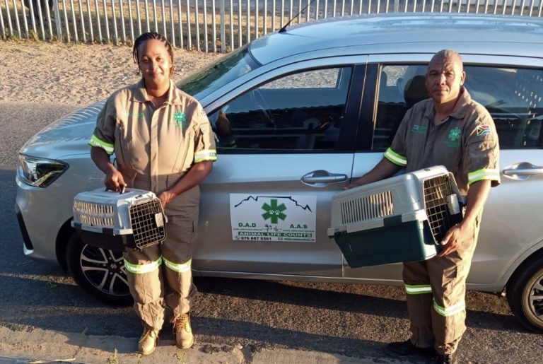 Help A Paw Launches Its Animal Ambulance Service!