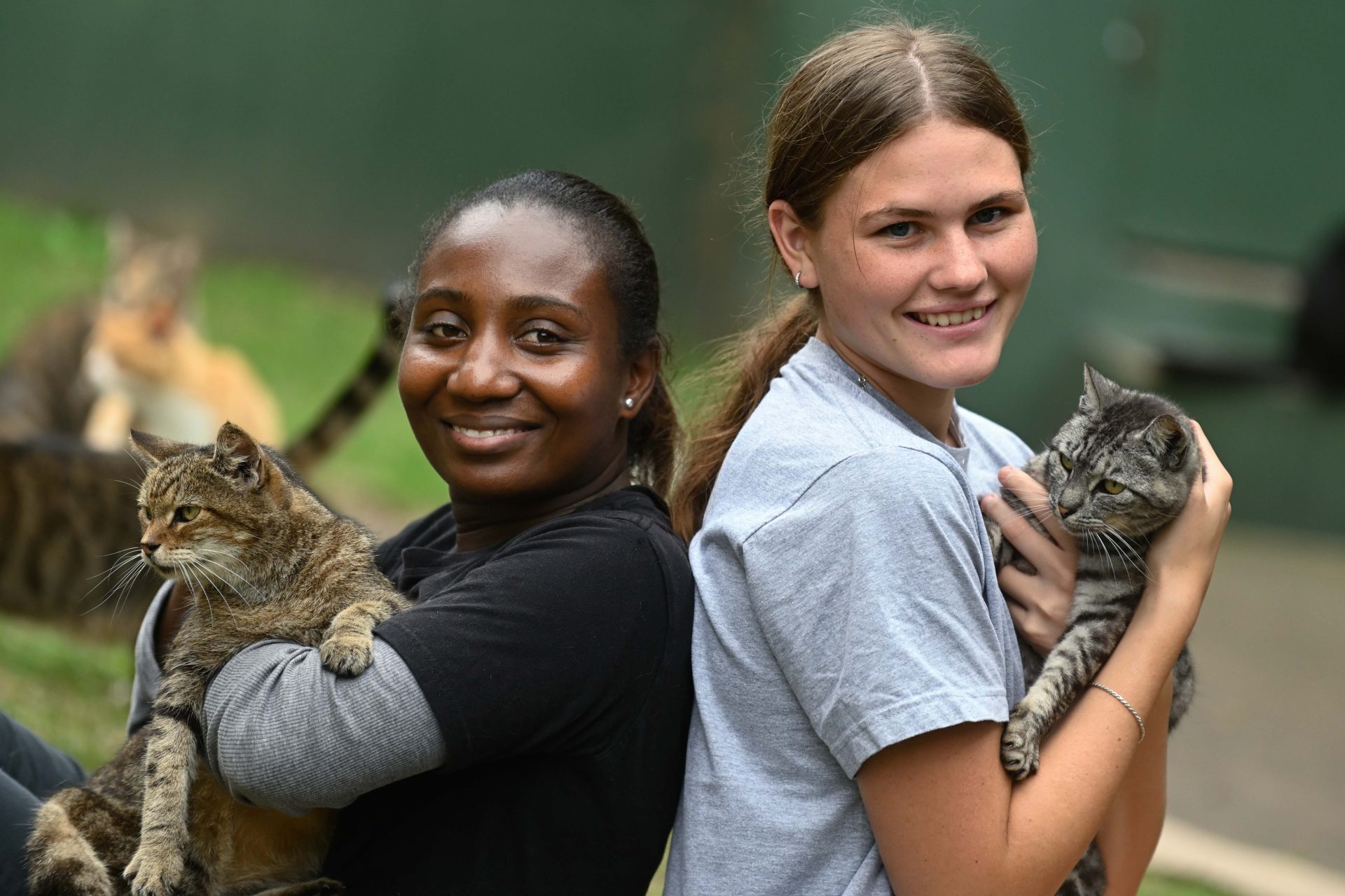 April is Animal Anti-Cruelty Month - Charity Calls for Awareness and ...