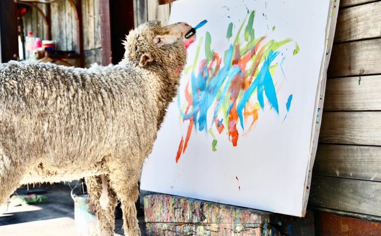 Baanksy Vanishes: R1.2 Million Reward for Missing Painting Sheep
