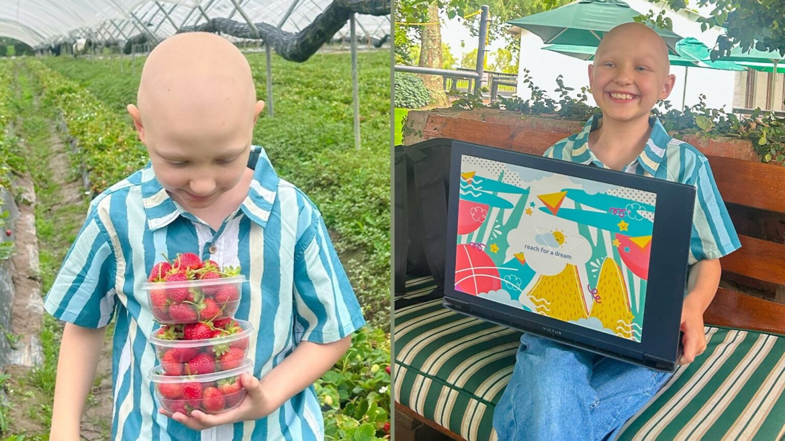 A Dream Day Filled with Strawberries, Surprises, and Spiderman for ...