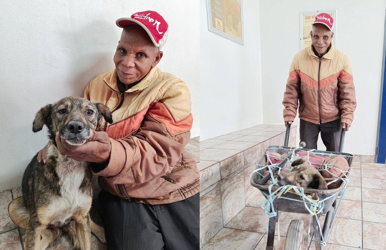 Mr. Marasi Wheels His 'Stout' Pup Lewy Across Philippi For Care